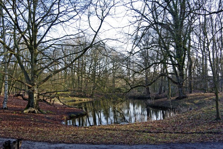 Bosbeek Groenendaal (complex) - hvhb.nl